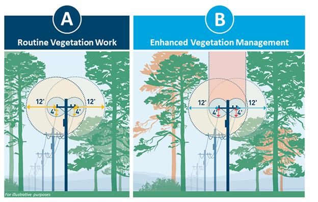 What are you doing with vegetation to reduce safety risks in high fire ...